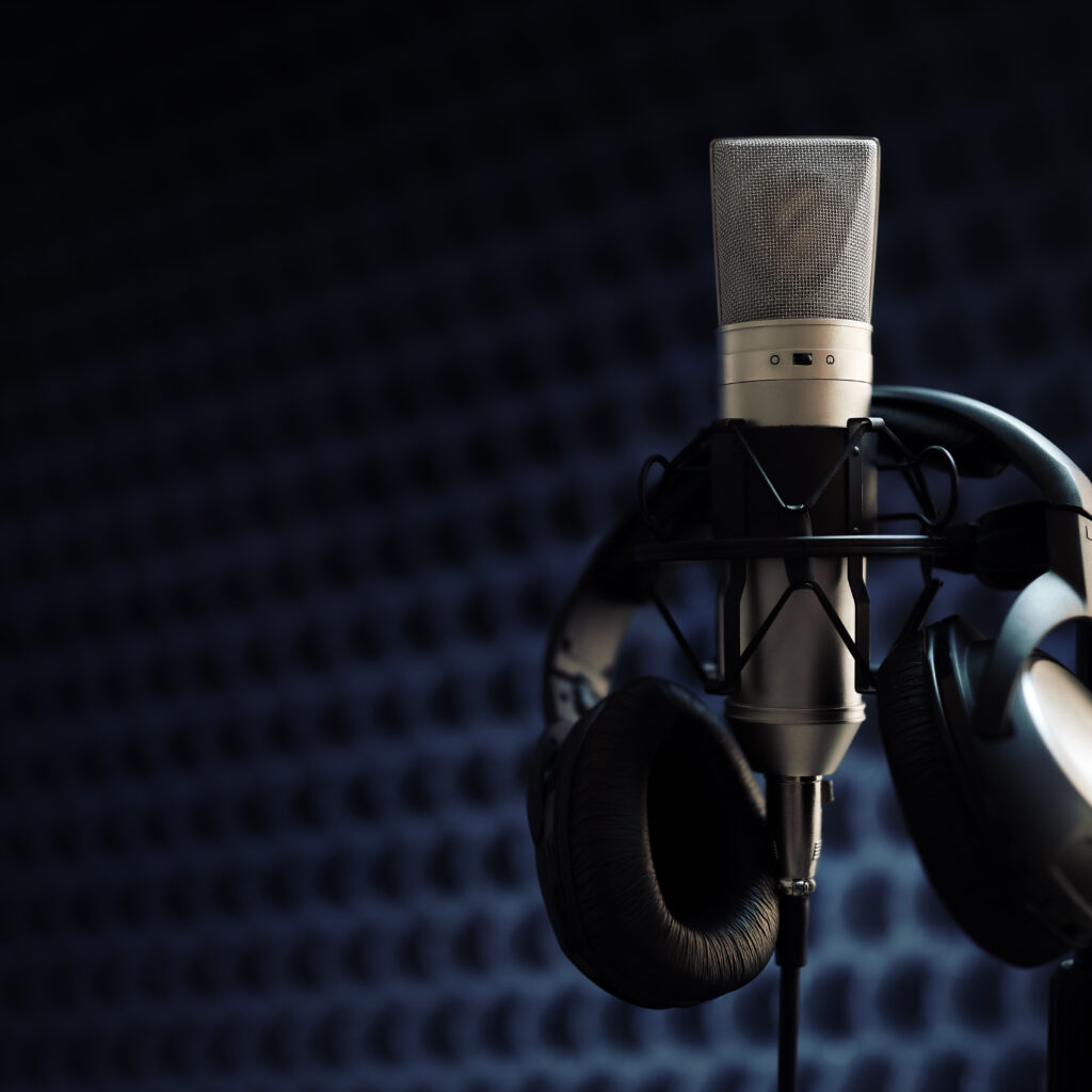 The key to professional sound in your videos. - Lucentum Studios